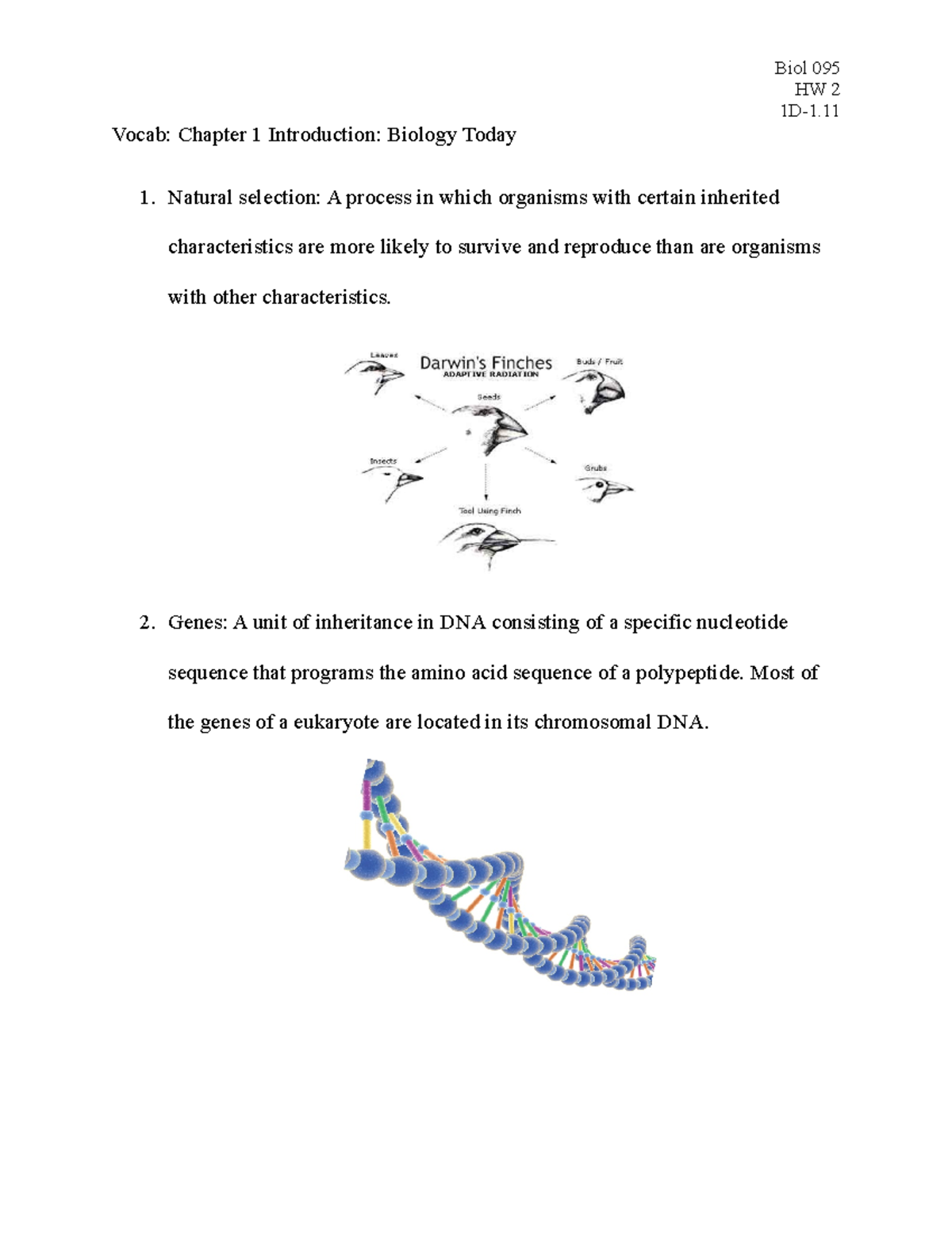 Biology 95 homework 2 Chapter 1 Introduction - Vocab: Chapter 1 ...