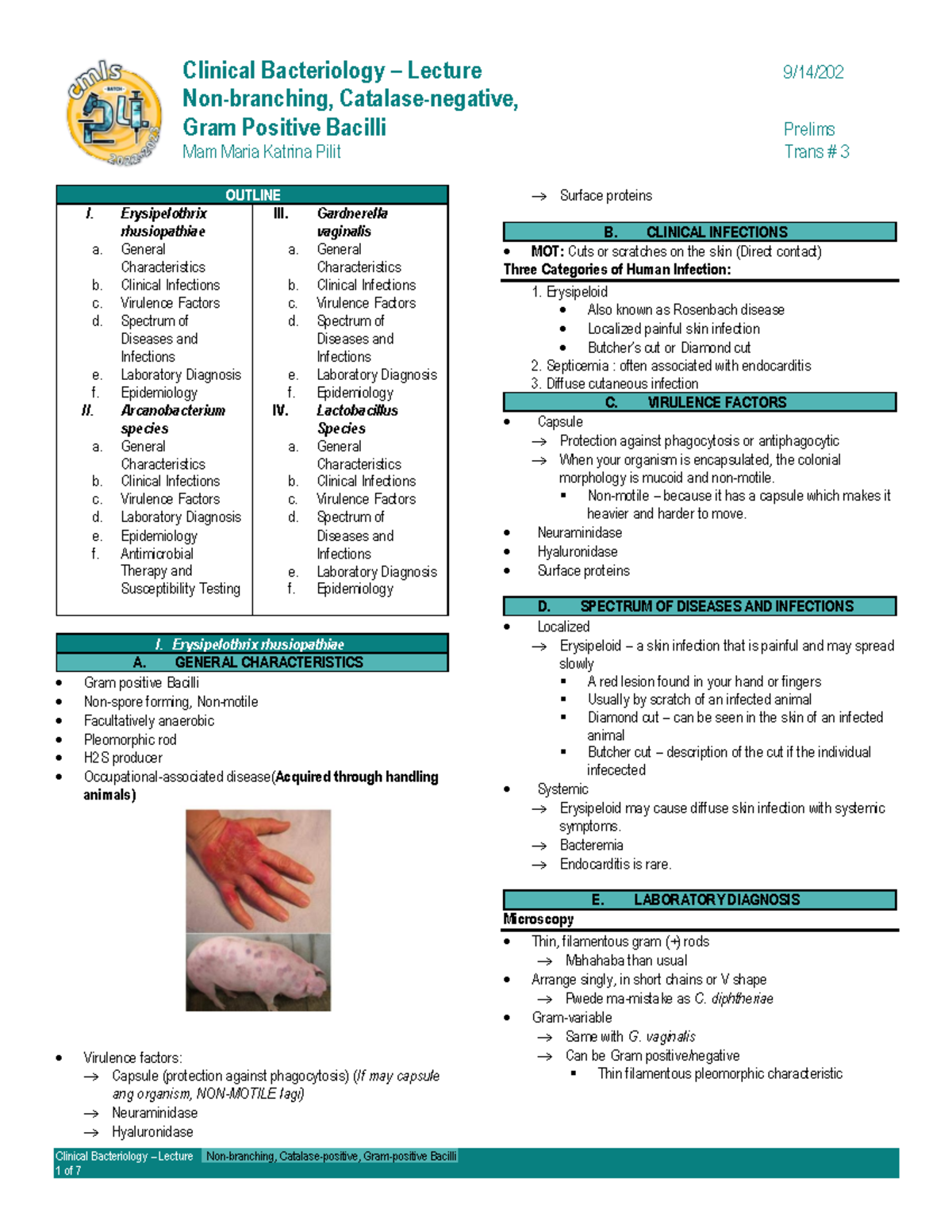 5. Nonbranching, Catalase Negative, Gram positive Bacilli - Clinical ...