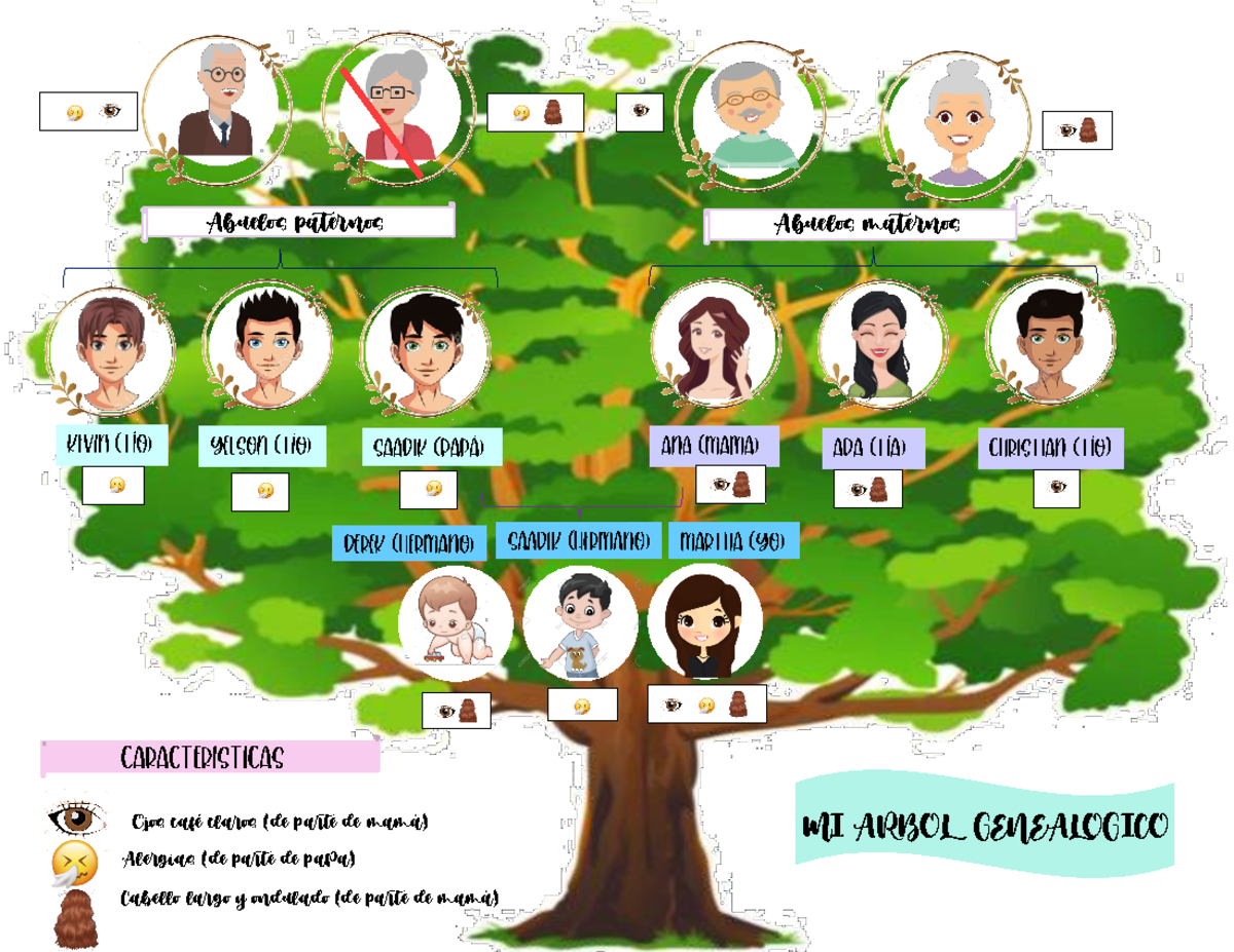 Arbol Genealogico Martha 10MO - biología - Abuelos paternos Abuelos maternos ) ) ) ) ) Ojos café ...