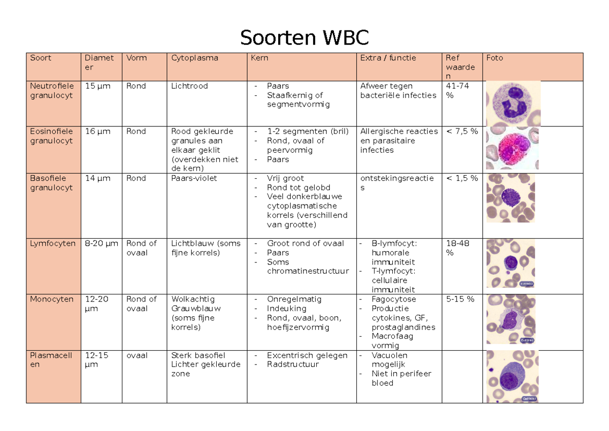 Te kennen - Soorten WBC Soort Diamet er Vorm Cytoplasma Kern Extra ...