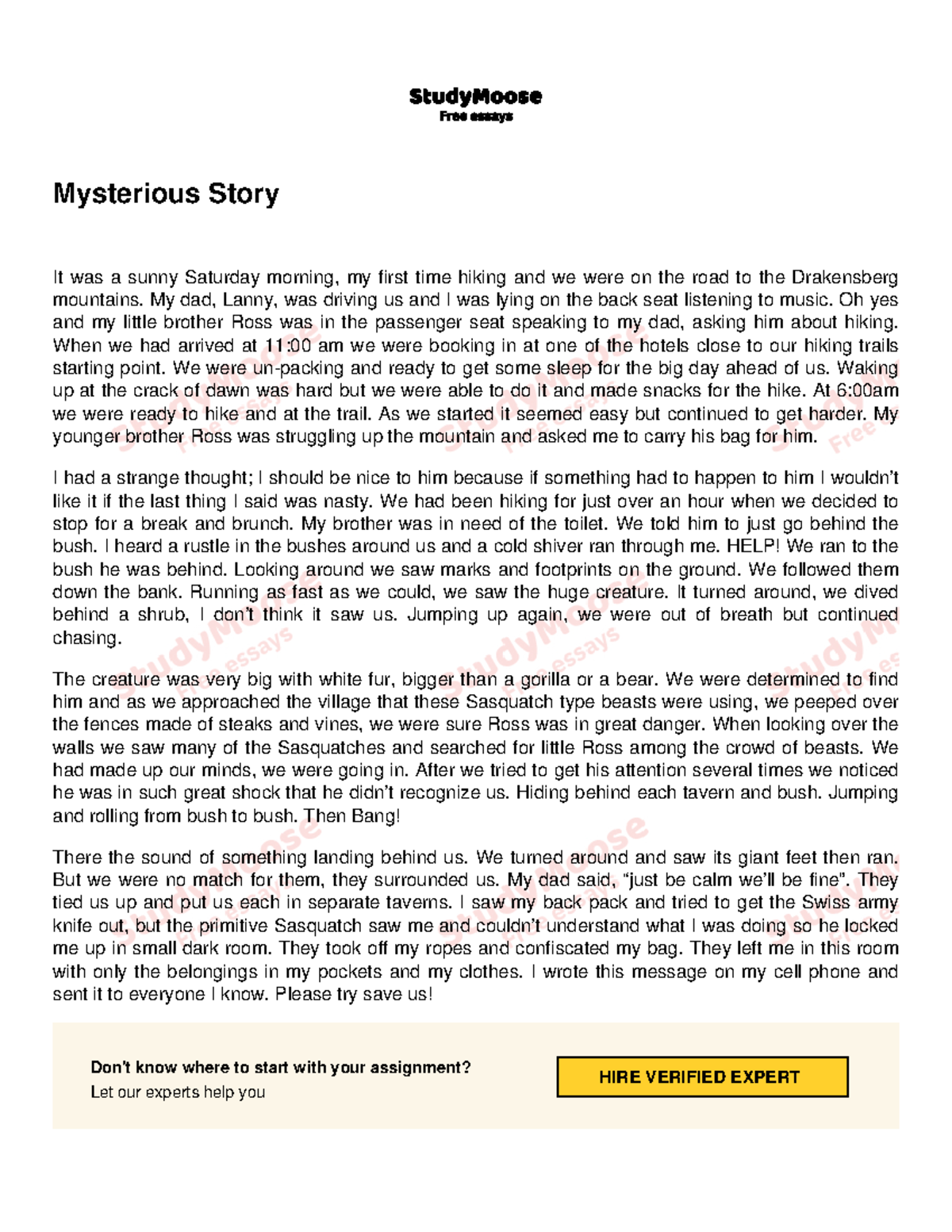 Mysterious Story - essay - Mysterious Story It was a sunny Saturday ...