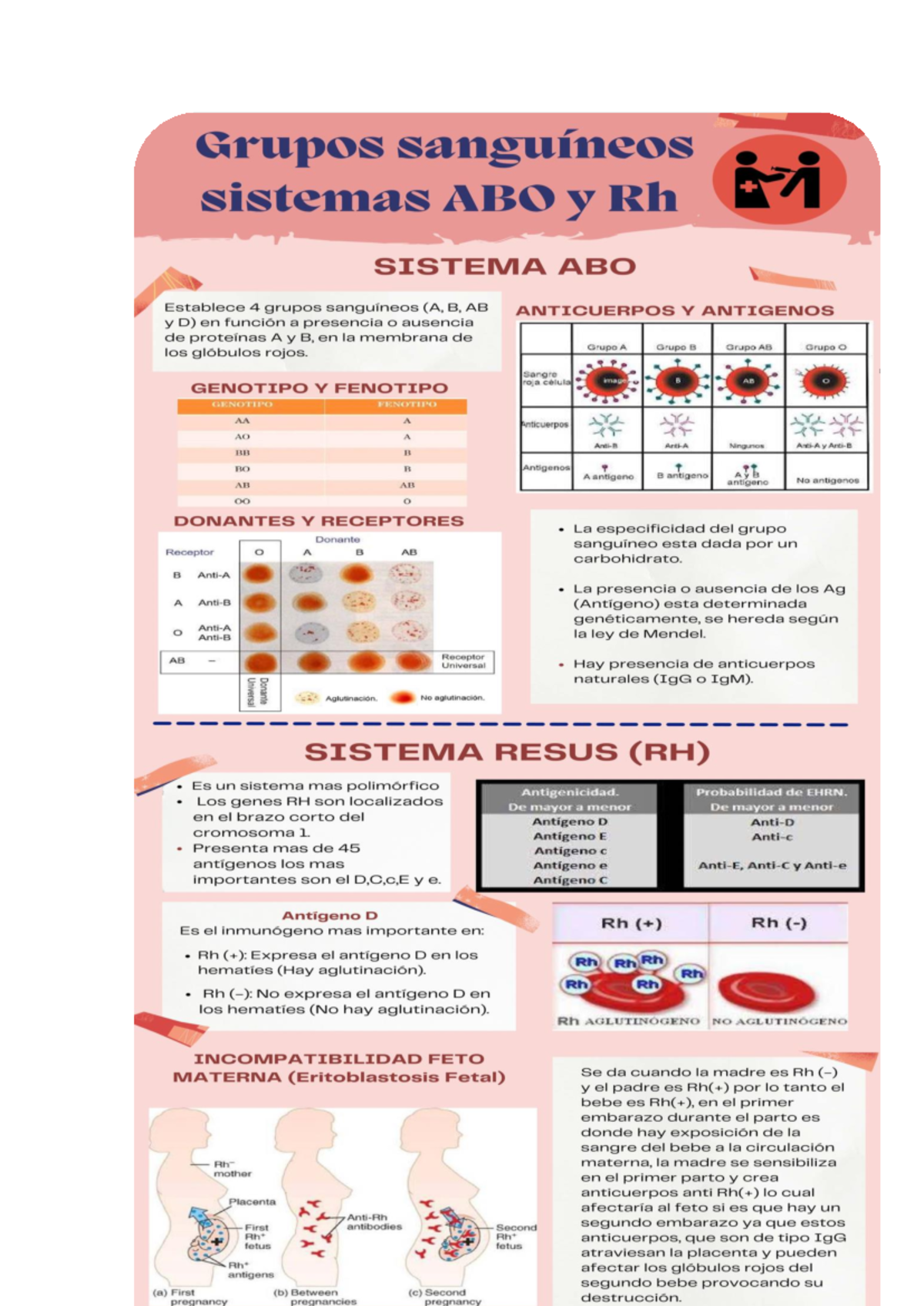 Sistema ABO - Grupos sanguíneos sistemas ABO y Rh SISTEMA ABO Establece 4 grupos sanguíneos (A ...