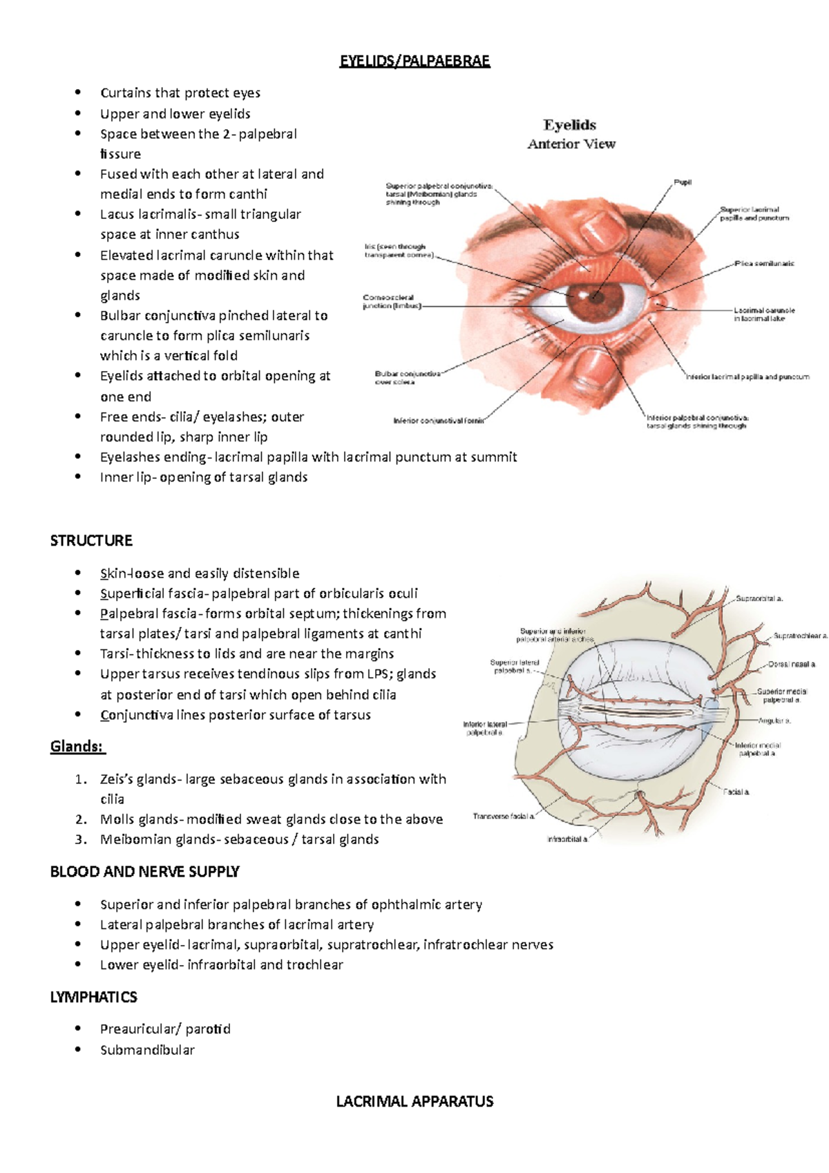 Eye anat - Anatomy + Physiology of the eye, diagrams, eye muscles ...