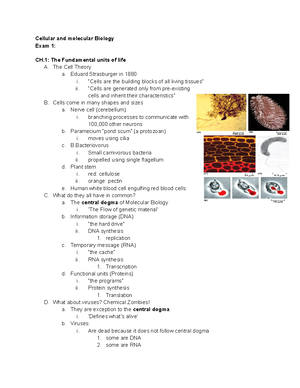 Cell Biology Chapter 12 Notes - BIOL 300 - VCU - Studocu