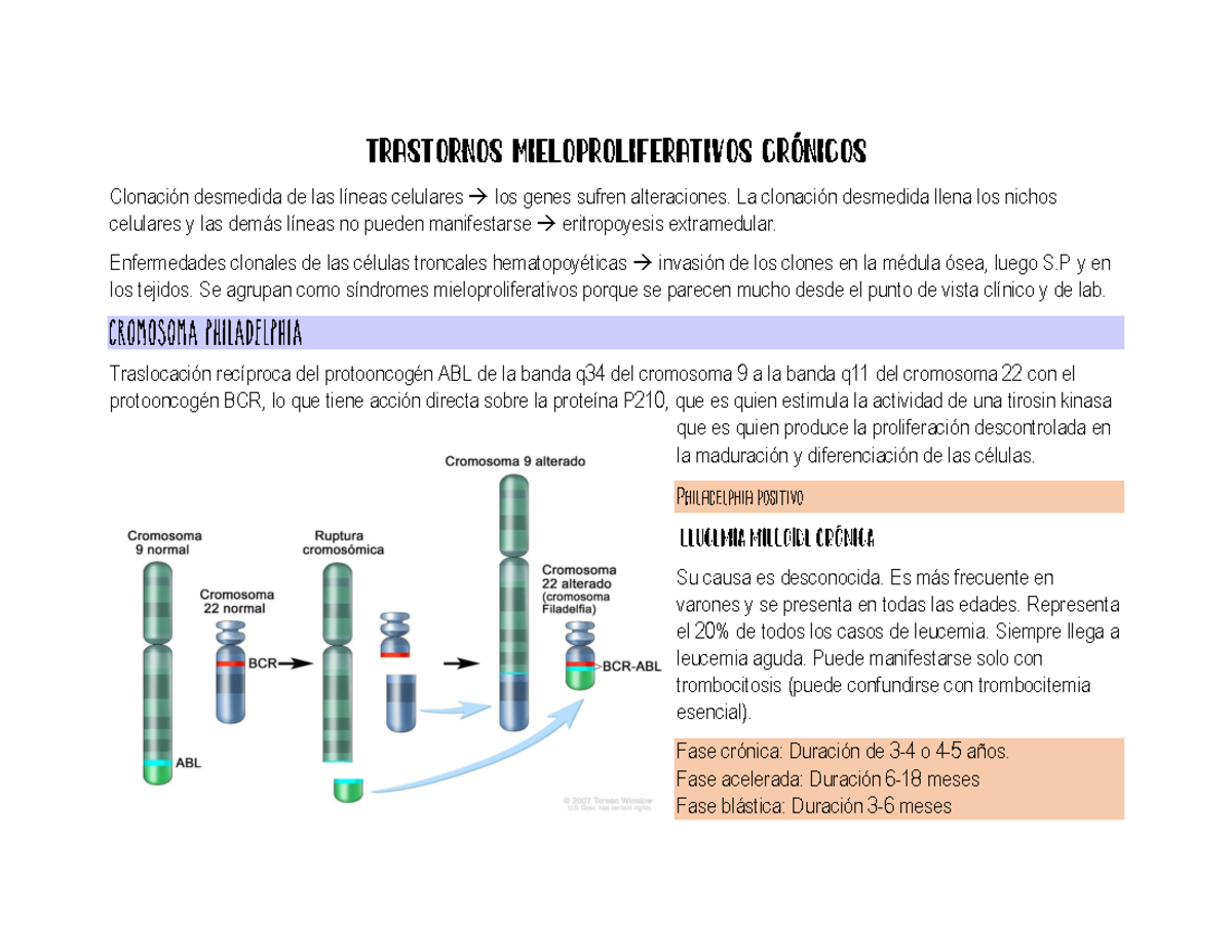 LMC y LLC - Resumen de LMC y LLC - Trastornos mieloproliferativos crÛnicos ClonaciÛn desmedida ...