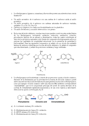 Informe Naranja de Metilo (Organica II) - Síntesis de Naranja de Metilo ...