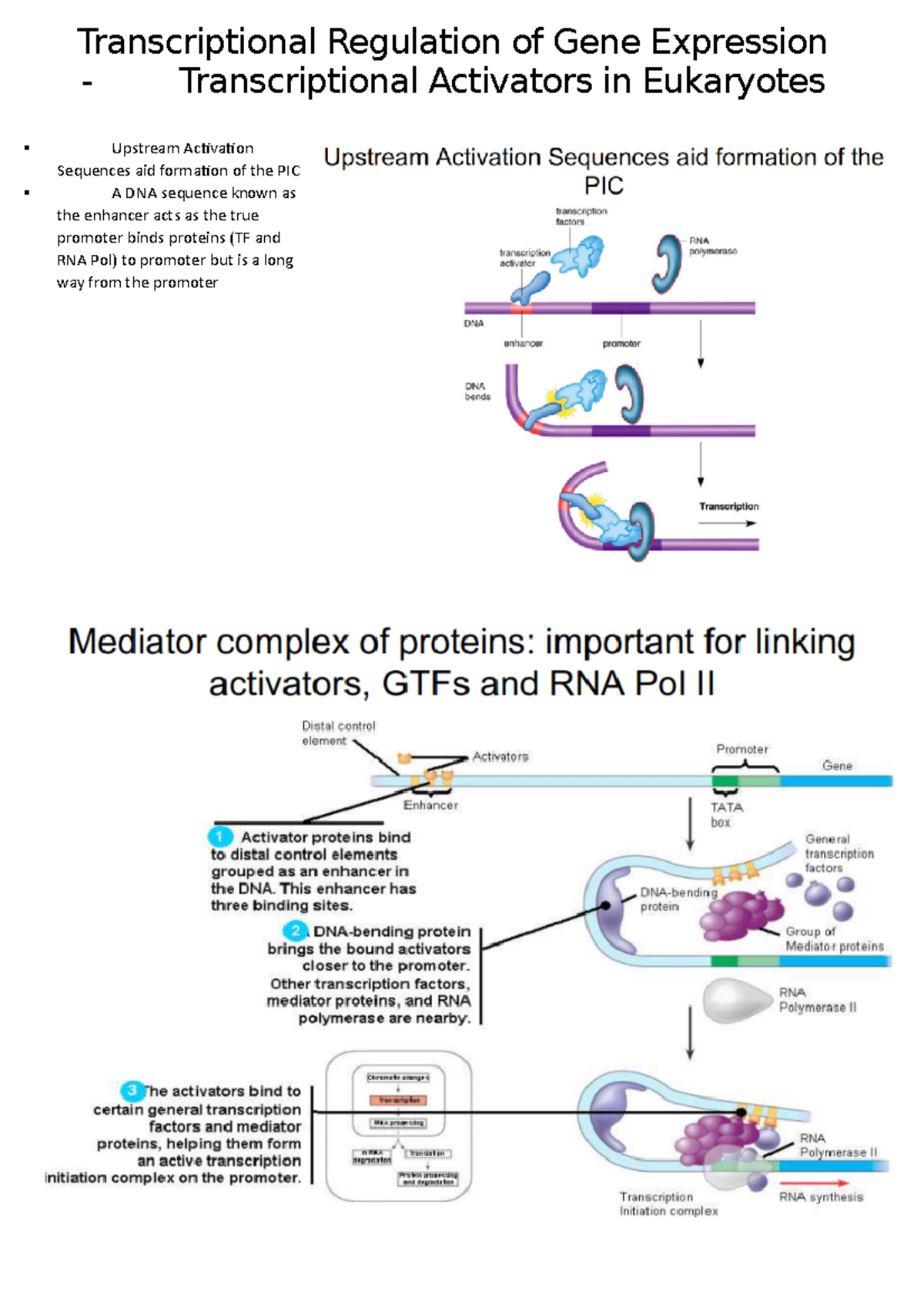 Transcriptional Regulation of Gene Expression - Transcriptional ...