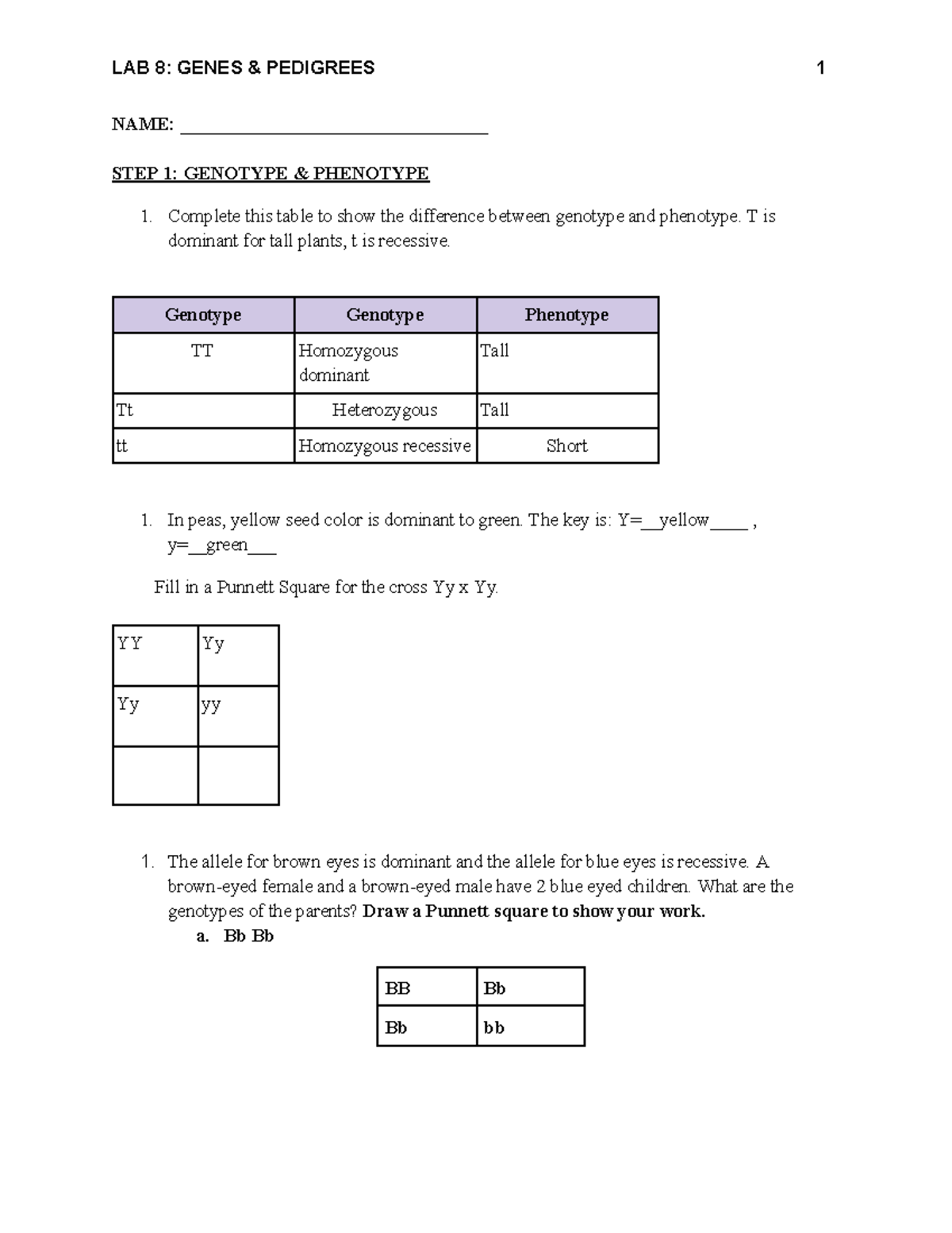 LAB 8 Genes & Pedigrees - Google Docs - NAME ...