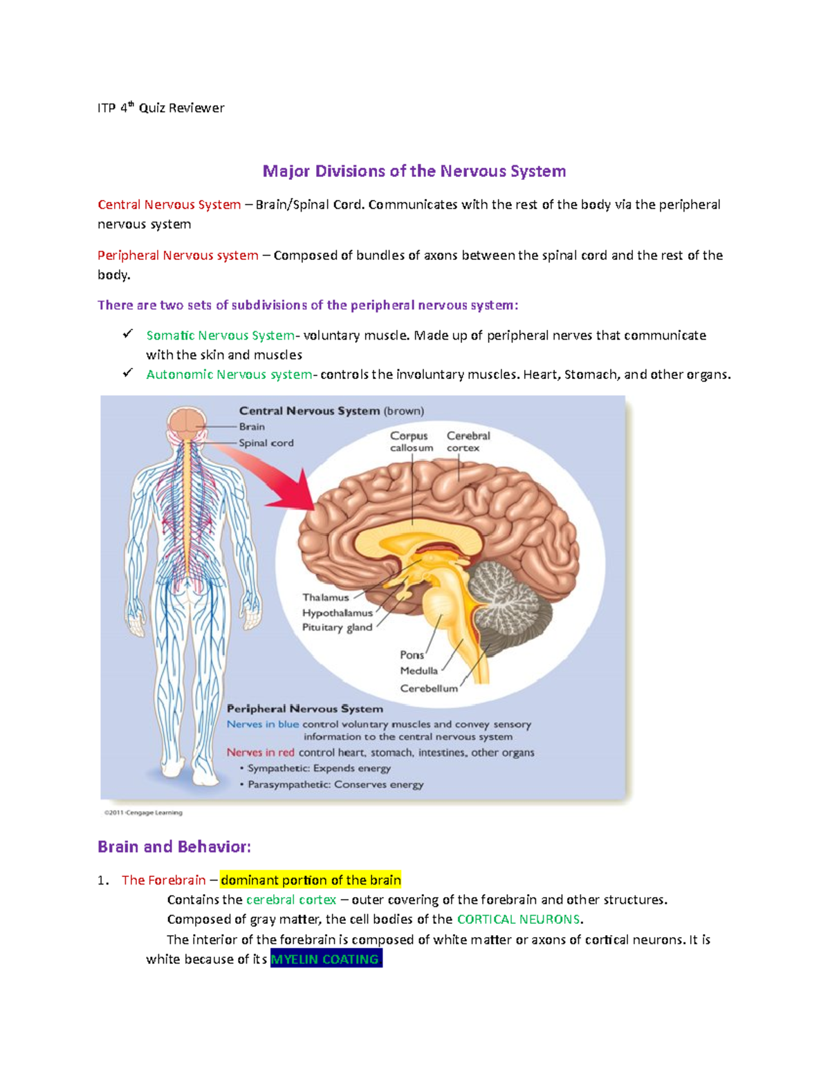 ITP 4th Reviewer Divisions of Nervous System - ITP 4th Quiz Reviewer ...