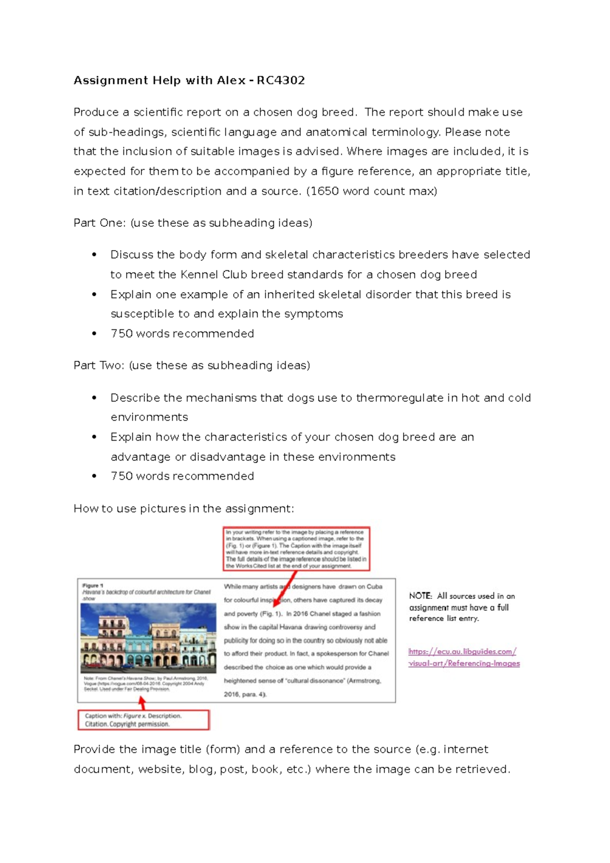 Assignment Help with Alex - The report should make use of sub-headings ...