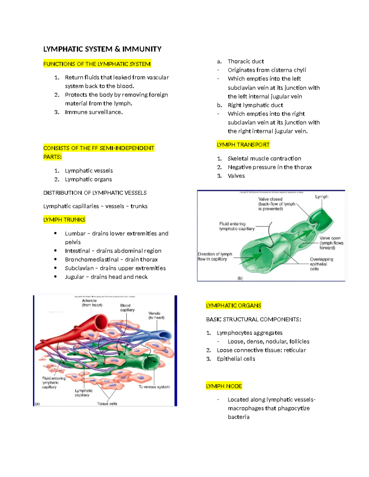 Lymphatic System - LYMPHATIC SYSTEM & IMMUNITY FUNCTIONS OF THE ...