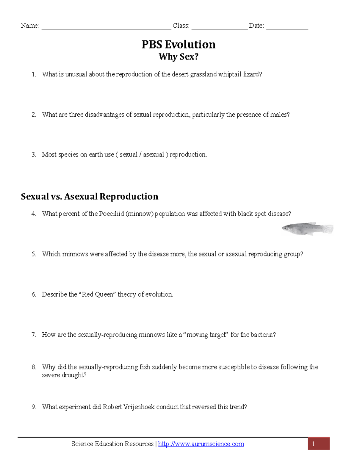 Z1030 Why Sex Answer To The Why Sex Video Worksheet Name