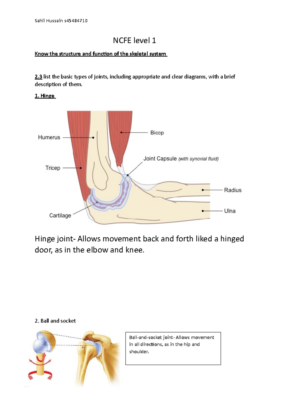Know the structure and function of the skeletal system - Hinge Hinge ...