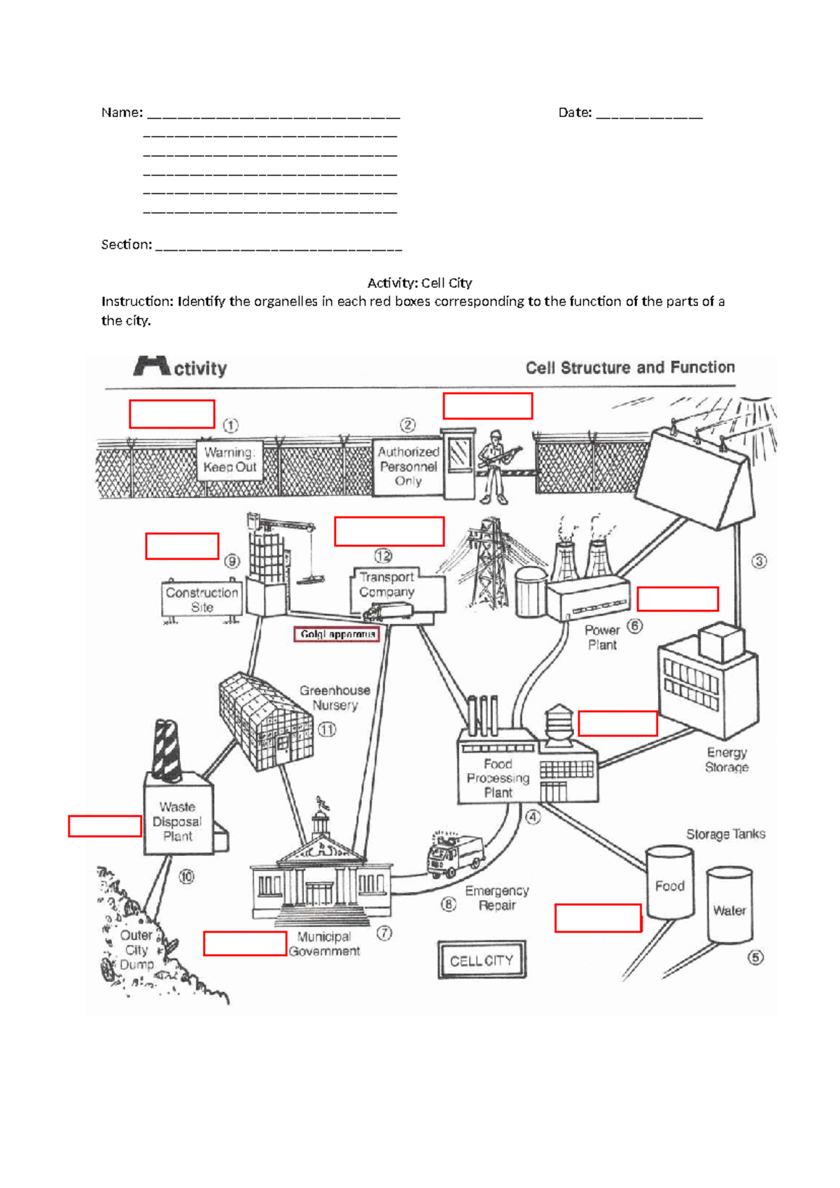 ELS CELL CITY Worksheet - BS Biology - Name ...