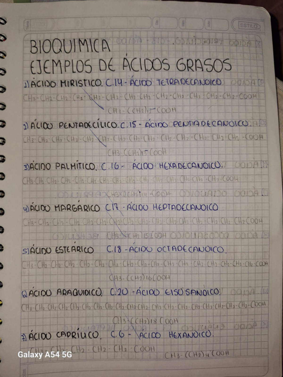 Ácidos Grasos - ESTILO ####### BIOQUIMICA (JEMPLOS DE ACIDOS GRASOS ...