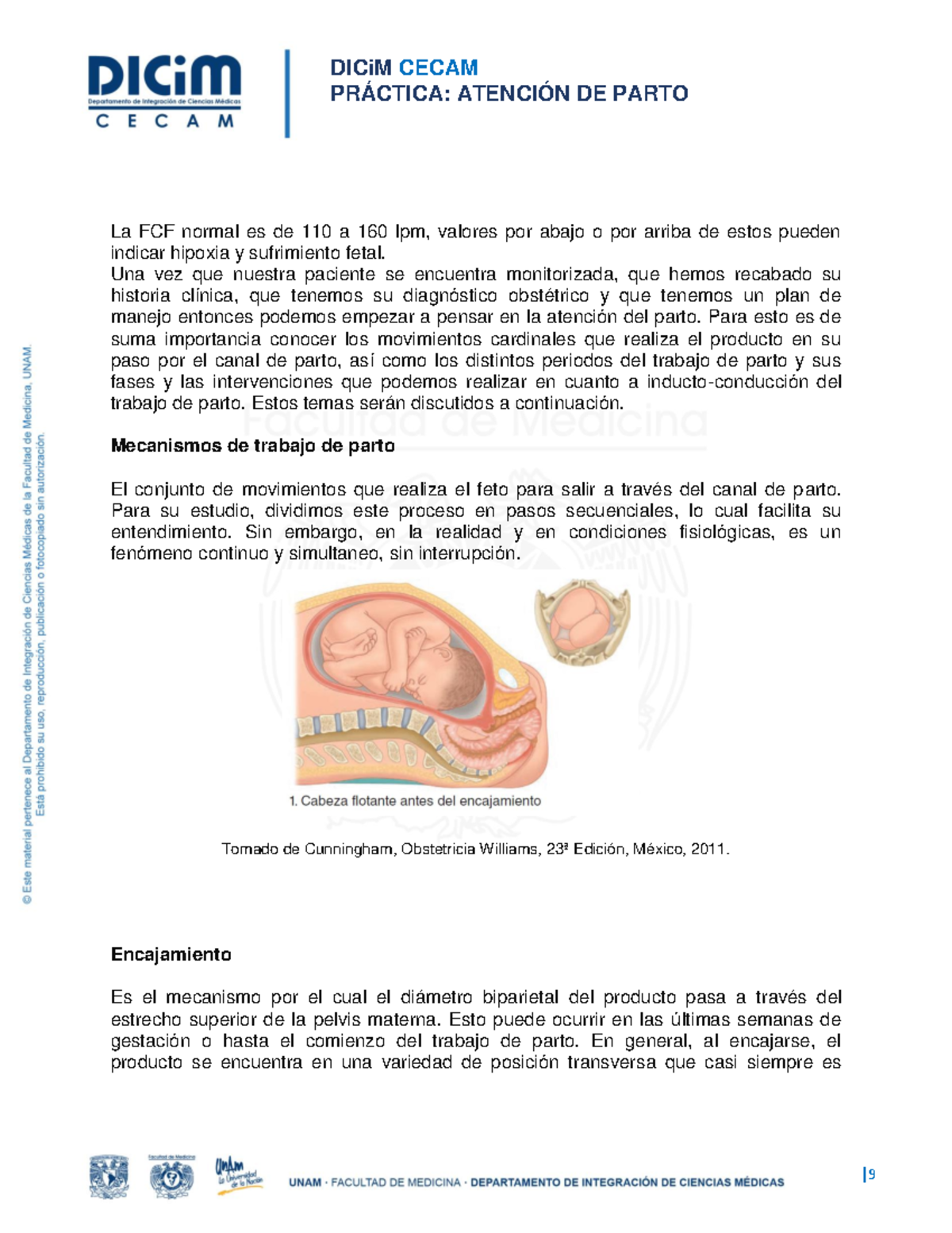 Mecanismo DE PARTO - PRÁCTICA: ATENCIÓN DE PARTO La FCF normal es de ...