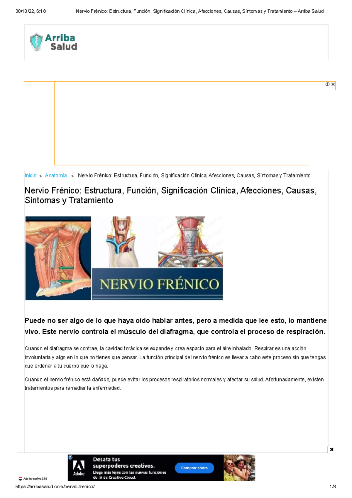Nervio Frénico Estructura, Función, Significación Clínica, Afecciones ...