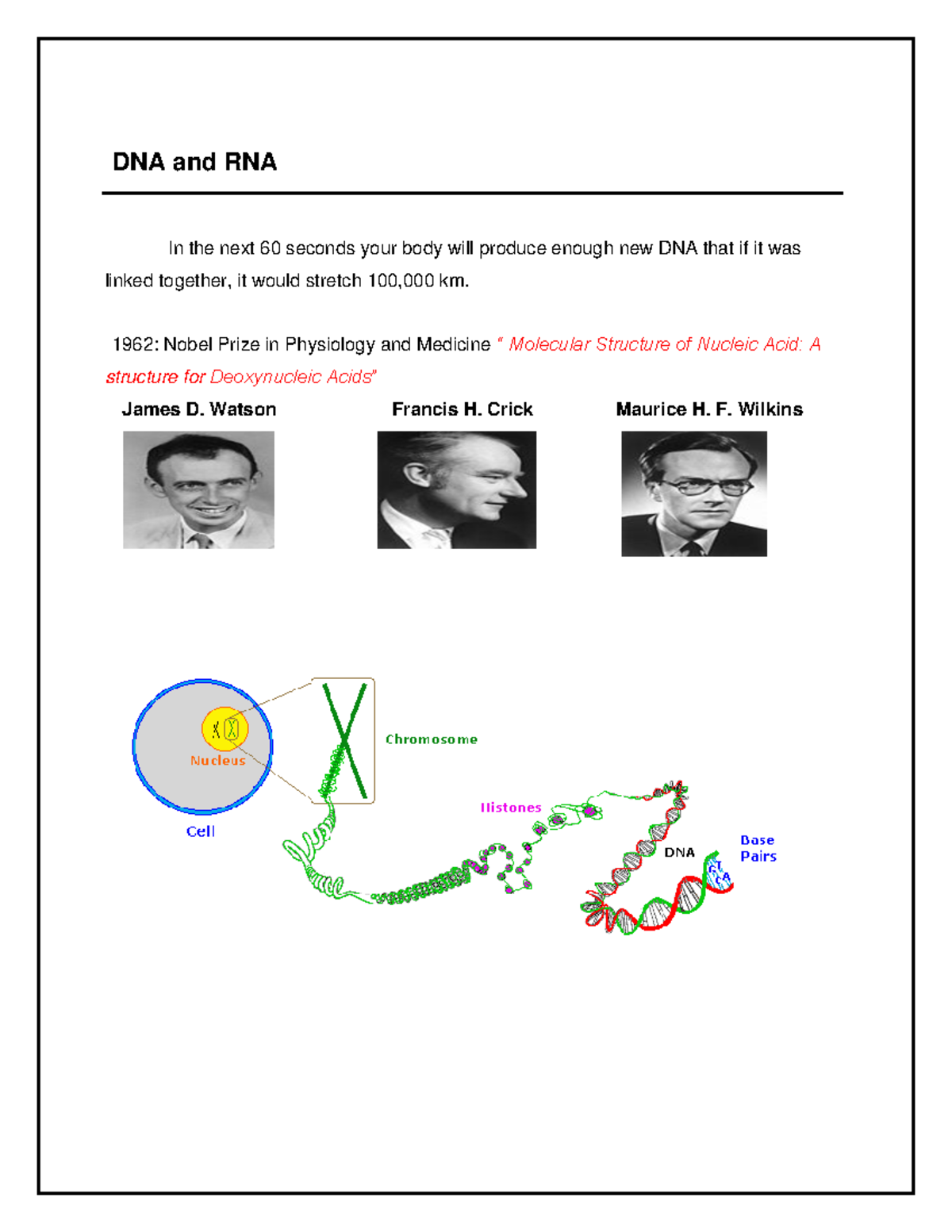 Unit 4 - DNA and RNA - Cytogenetics - DNA and RNA In the next 60 ...