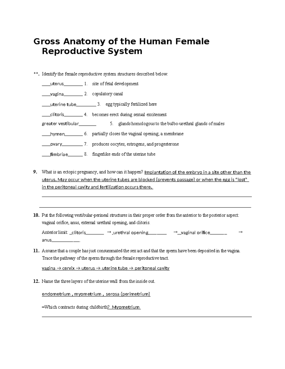 UCC-106- WEEK 14- Assignment - Gross Anatomy of the Human Female ...