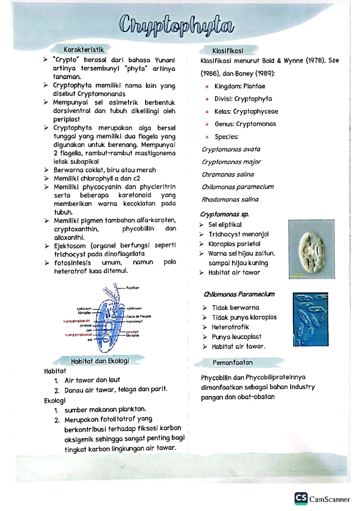 Cryptophyta Algae - Botani - CamScanner CamScanner - Studocu