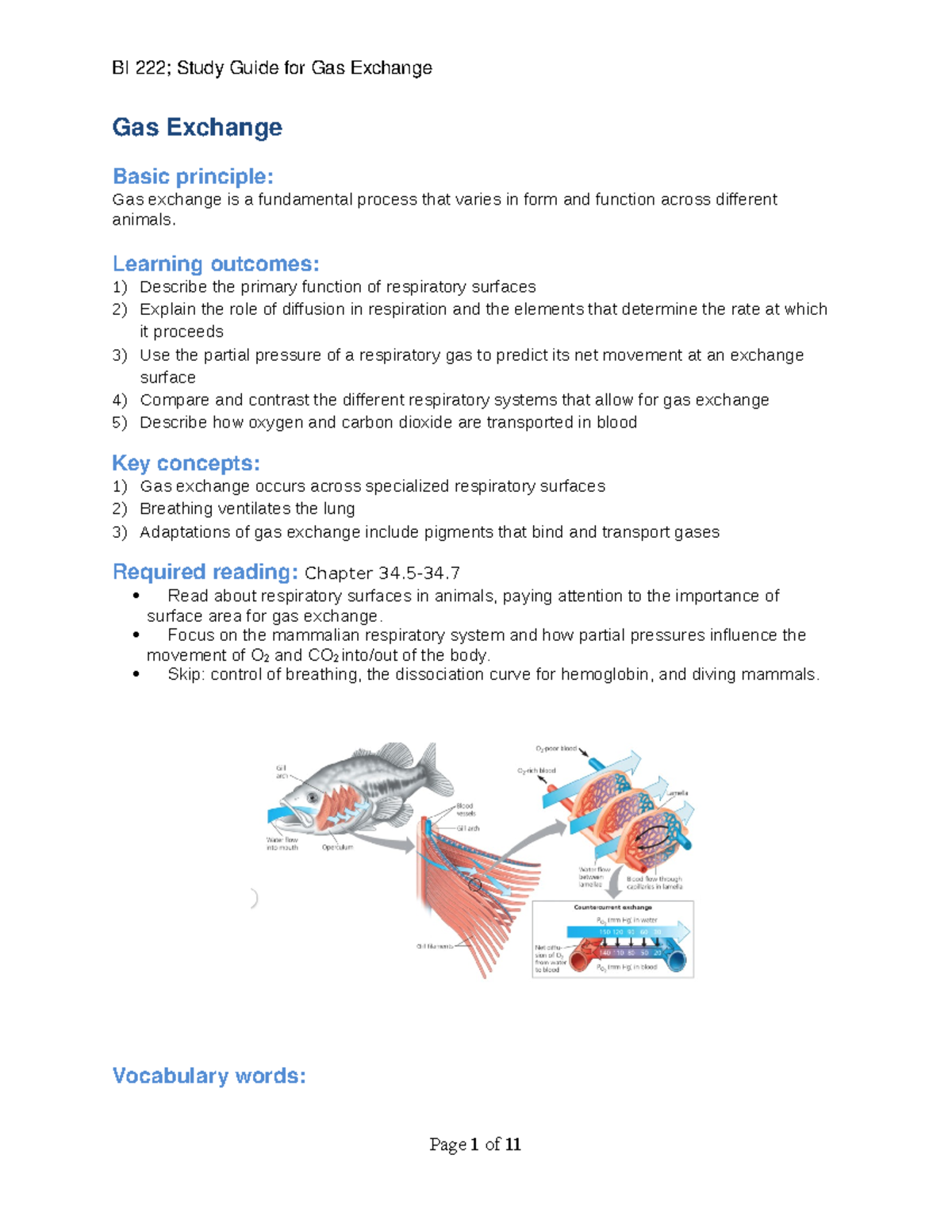 Bi 222 Final Study Guide - Gas Exchange Basic principle: Gas exchange ...