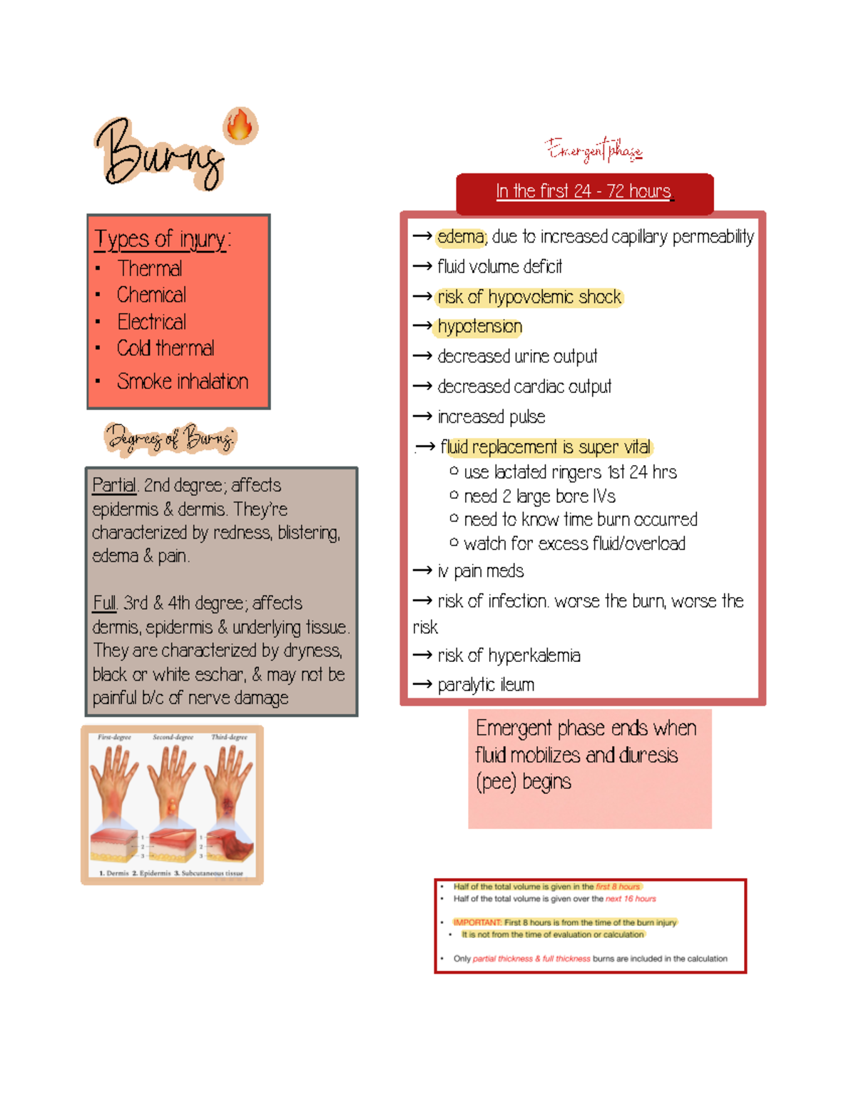 Burns Emergent phase: Types Degrees Management - Studocu
