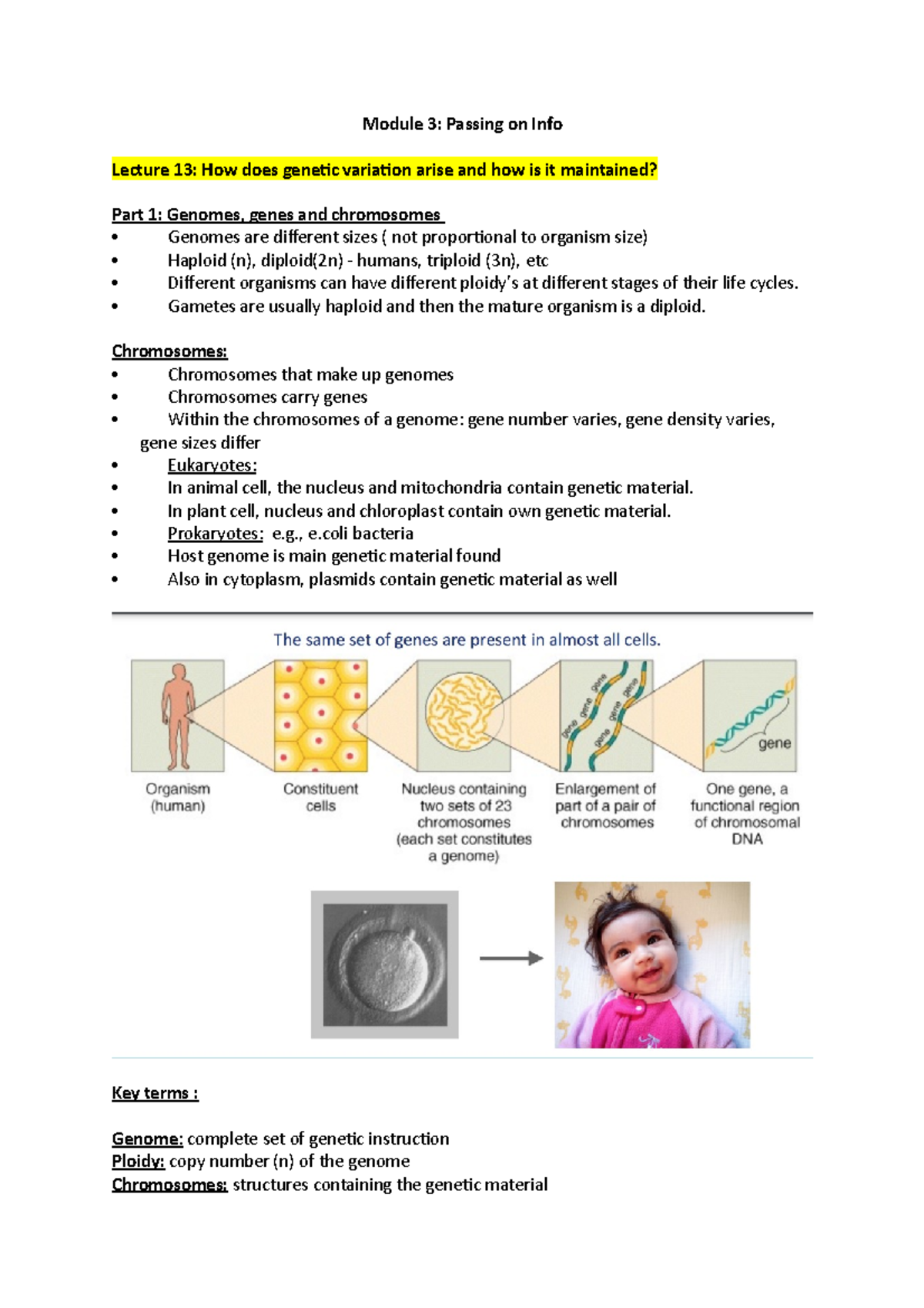 Module 3- Passing on Info - Module 3: Passing on Info Lecture 13: How ...