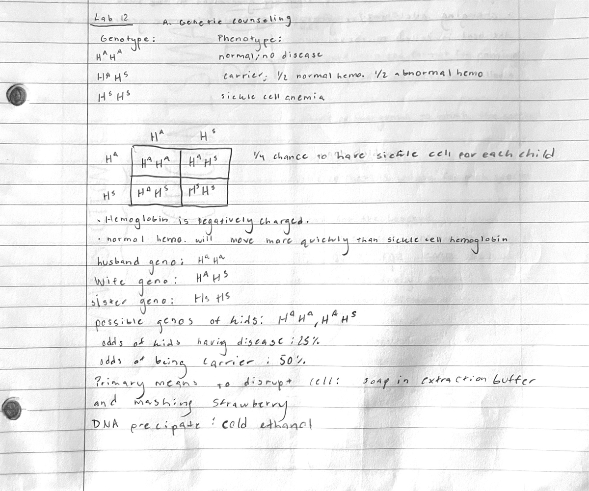 Lab 12 and 13 - Lab notes with hypothesis - BIOL 1021 - Studocu