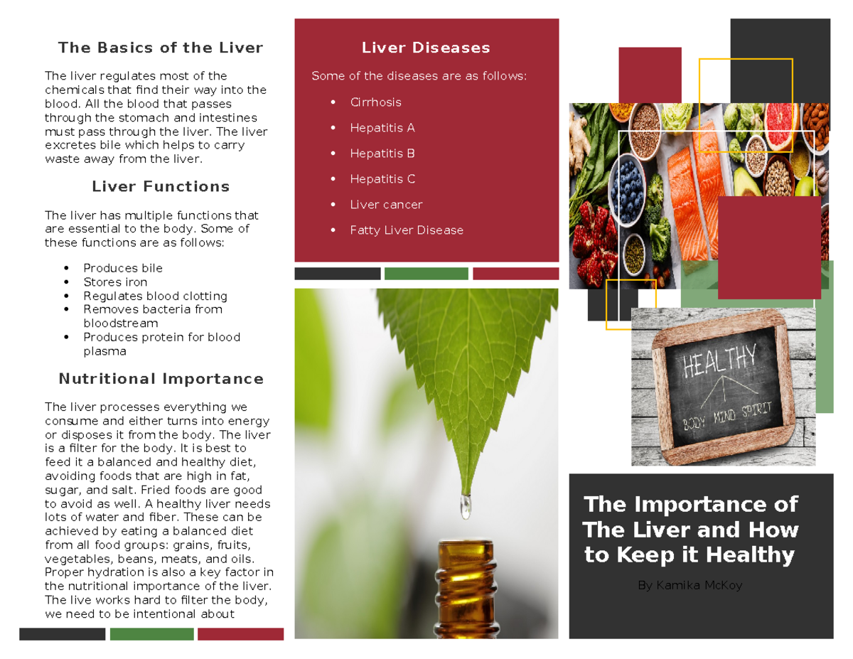 Module 2 Assignment - Brochure - The Basics of the Liver The liver ...