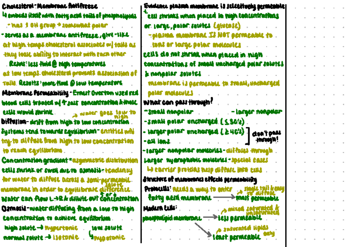 BIO 201 - Cell Biology Notes - Cholesterol - Membrane Antifreeze ...
