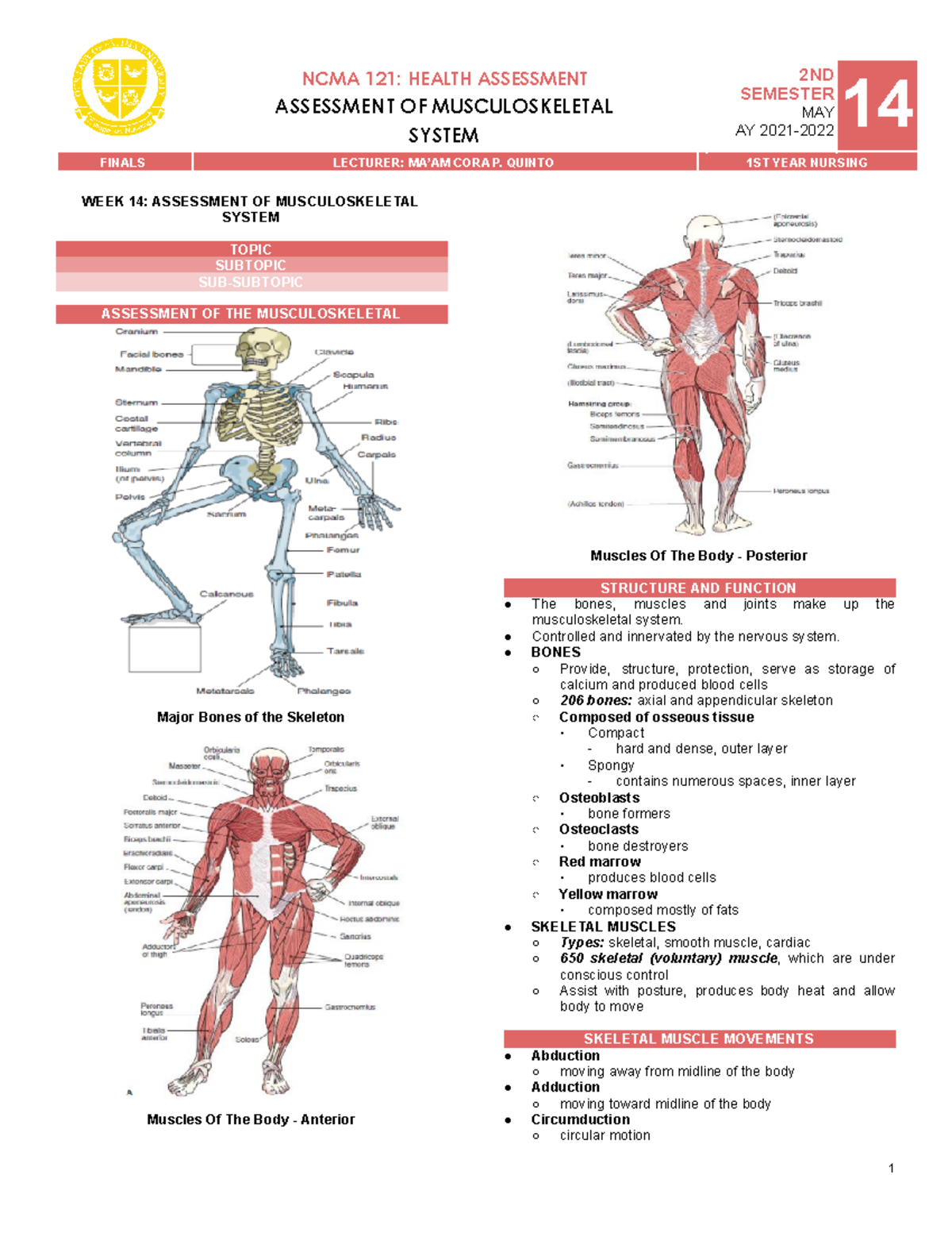 WEEK 14 Assessment OF Musculoskeletal System - NCMA 121: HEALTH ...