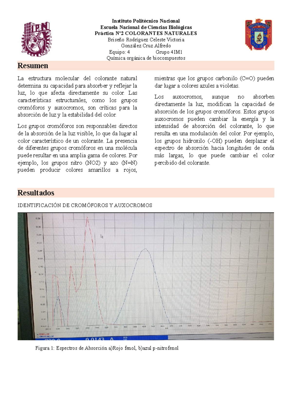 Resumen - CROMÓFOROS - Escuela Nacional de Ciencias Biológicas Práctica ...