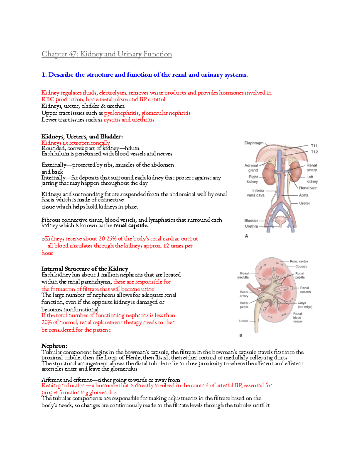 Chapter 47 Kidney and Urinary Function - Chapter 47: Kidney and Urinary ...