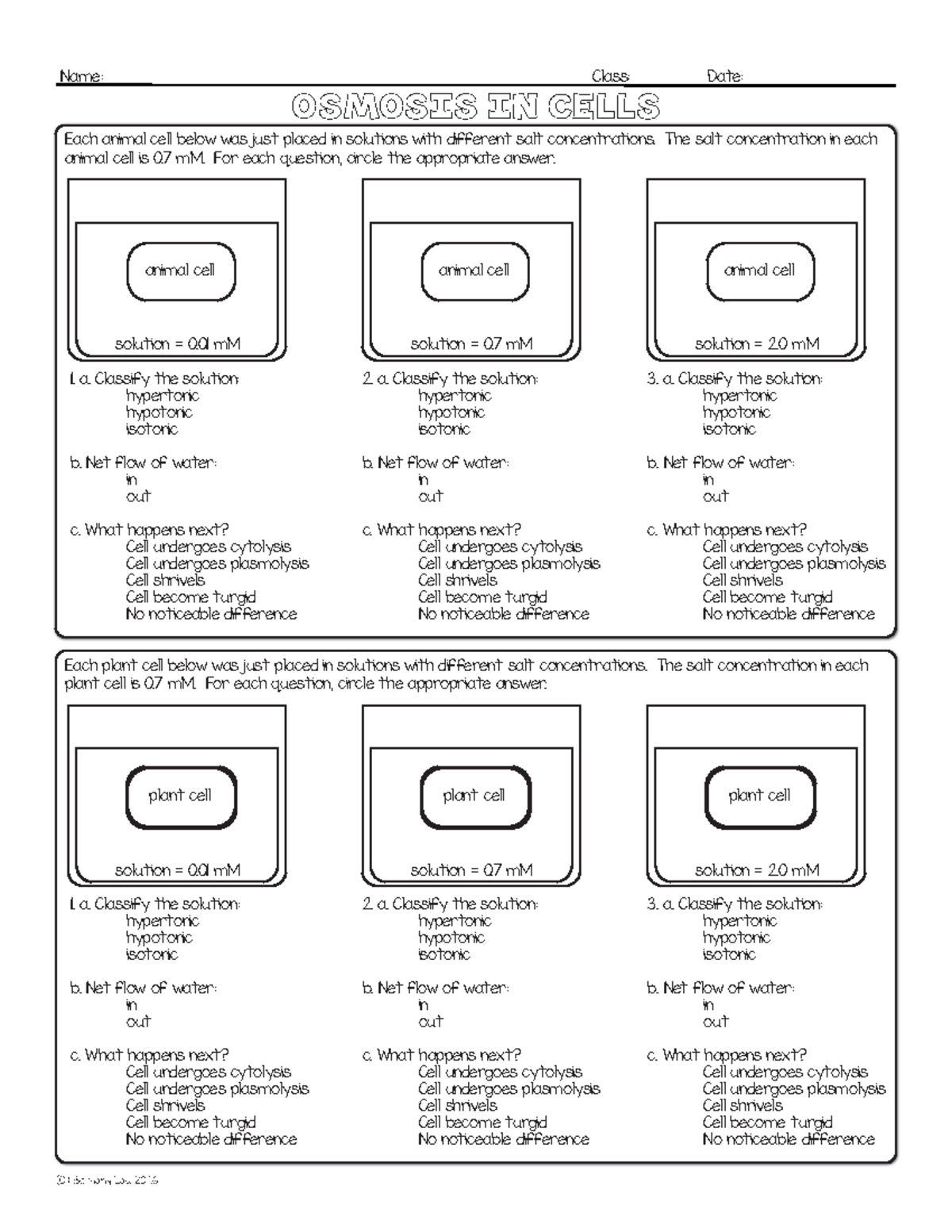 3 Osmosis in Cells - summary/practice - Name: Class: Date: (C) Bethany ...
