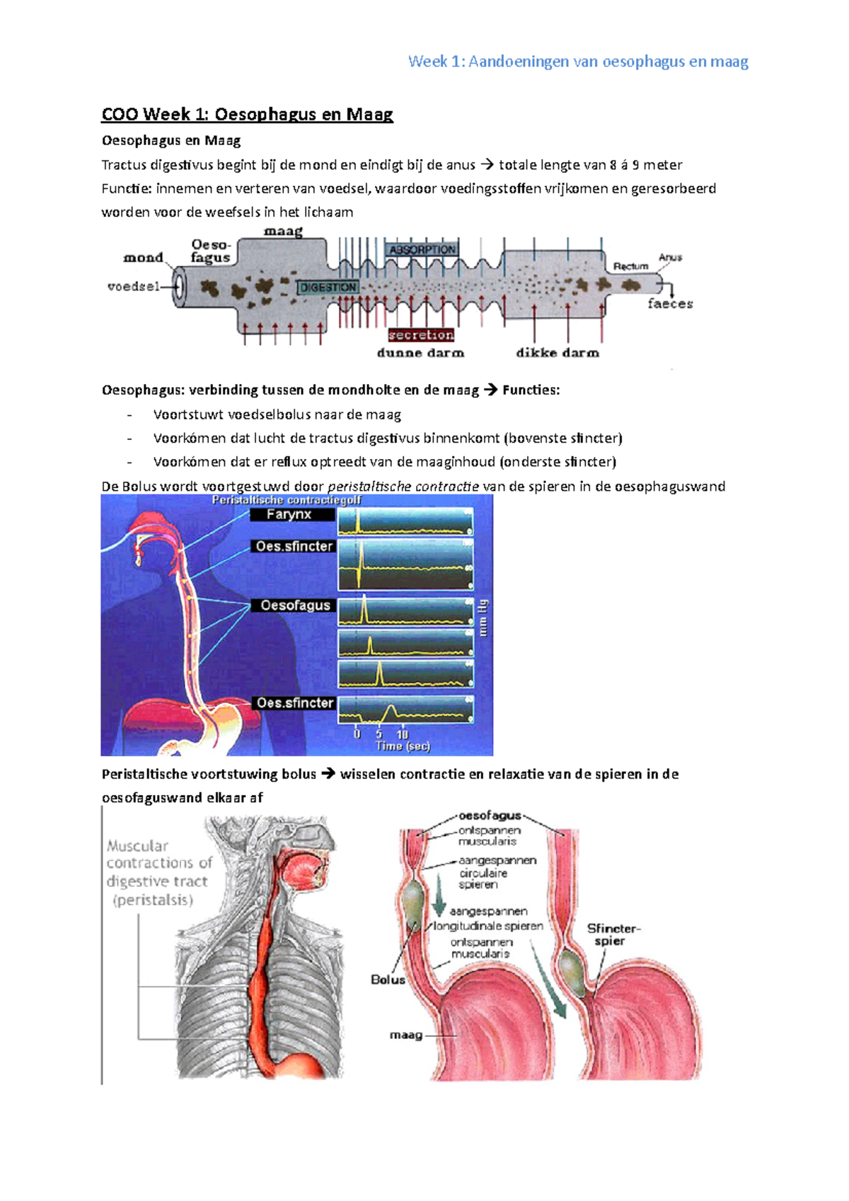 COO Week 1. Oesofagus en Maag - Week 1: Aandoeningen van oesophagus en ...