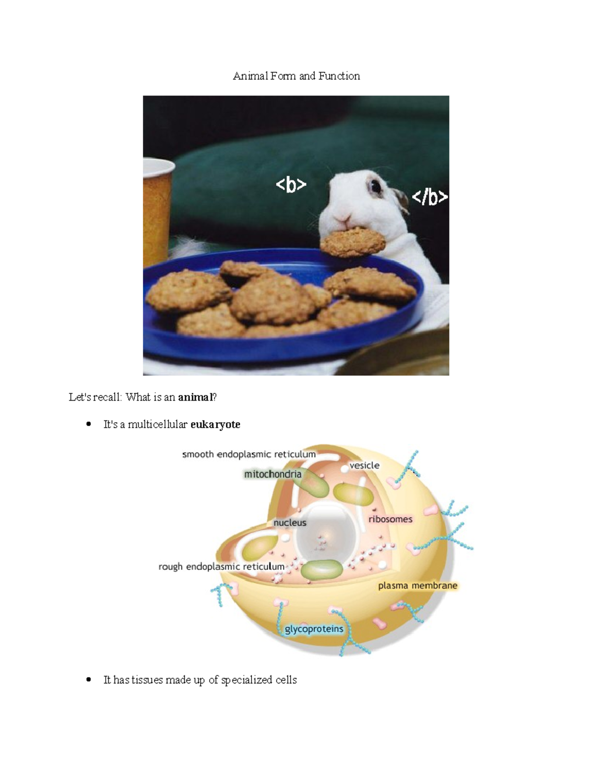 Lecture 5 - Animal Form and Function recall: What is an animal? a ...