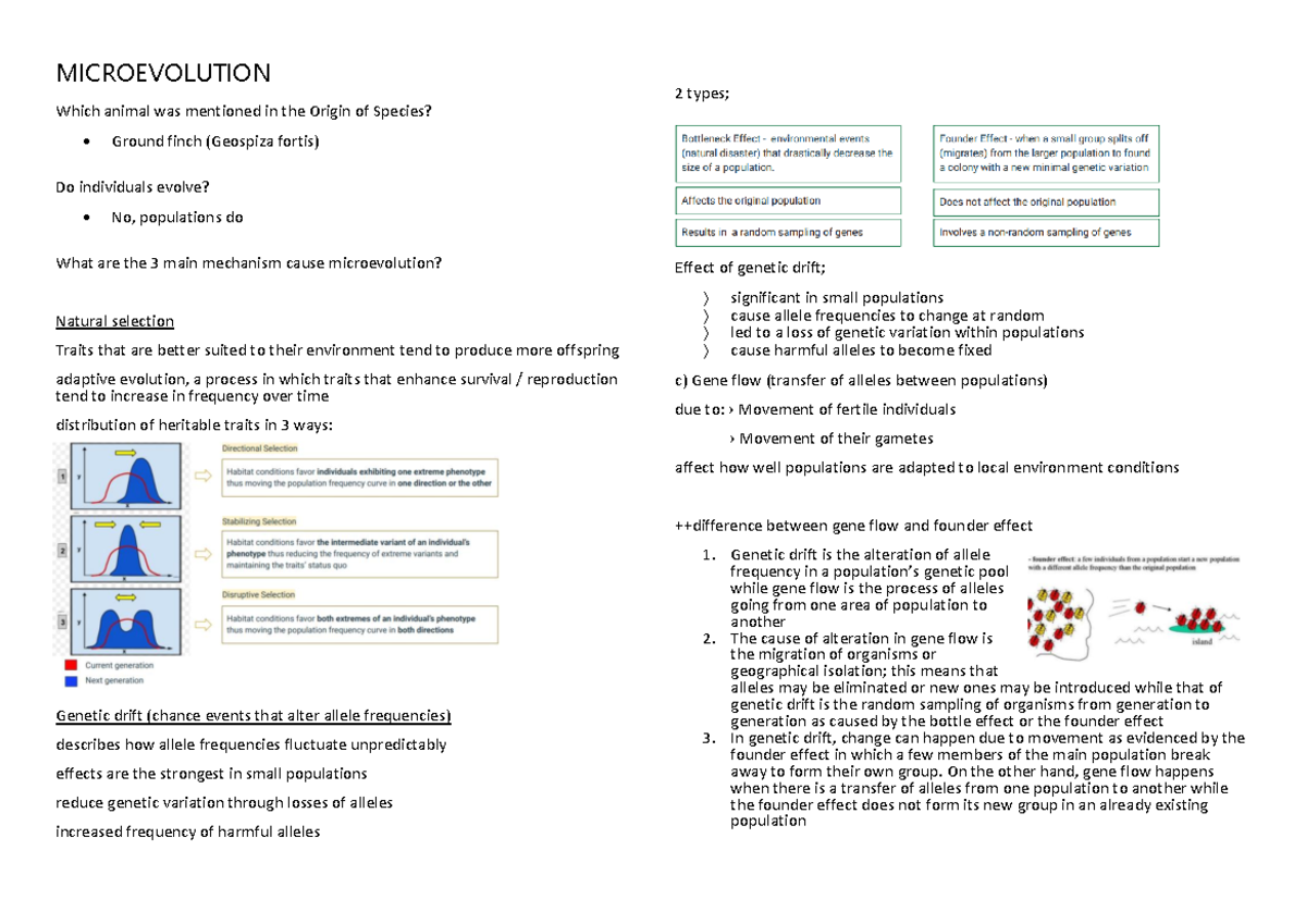 Biology-evolution copy - MICROEVOLUTION Which animal was mentioned in ...