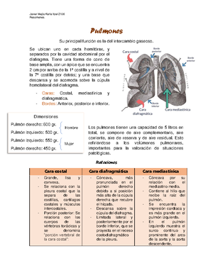 Modelos médico - paciente - Modelo Paternalista. Modelo Informativo ...