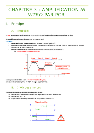 Chapitre 4 - Transfert de gènes en cellule eucaryote - CHAPITRE 4 : TRANSFERT DE GENES EN ...