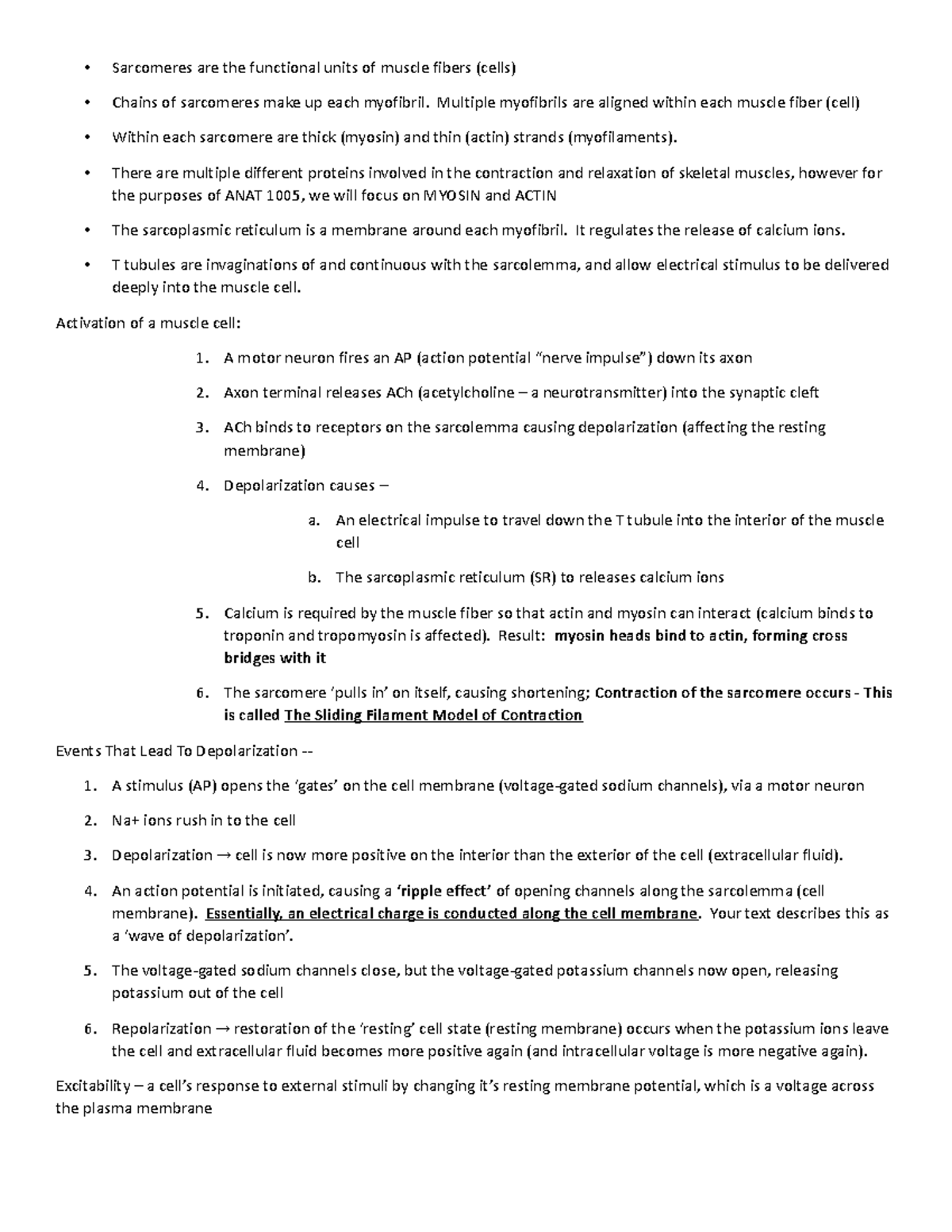 More Muscle Info - word doc - Sarcomeres are the functional units of ...
