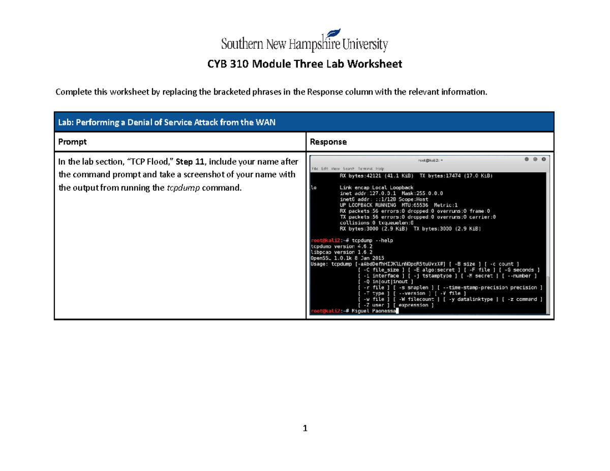CYB 310 Module Three Lab Worksheet - CYB 310 Module Three Lab Worksheet ...