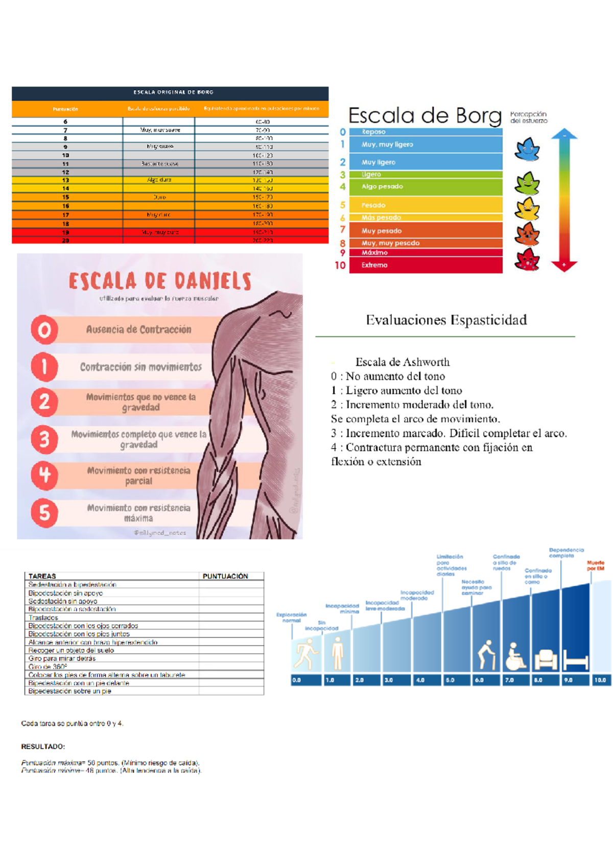 Escalas fisio - Fisioterapia Ortopédica - Studocu