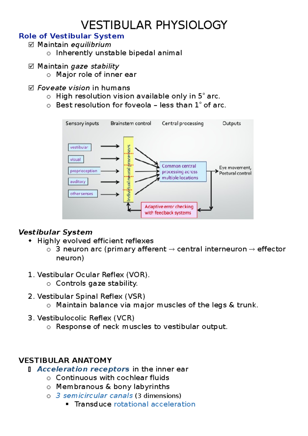 Vestibular Physiology - VESTIBULAR PHYSIOLOGY Role of Vestibular System ...