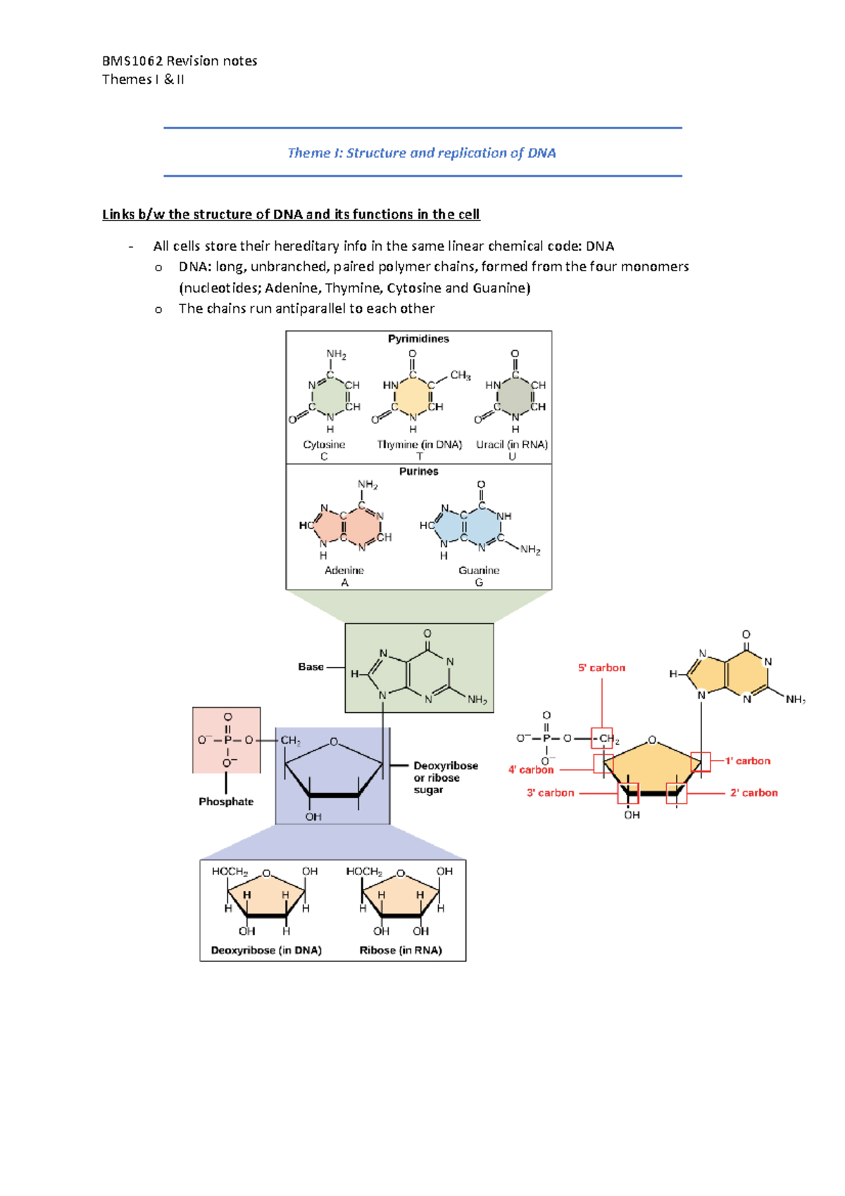BMS1062 - Theme I and Theme II revision notes - Themes I & II Theme I ...