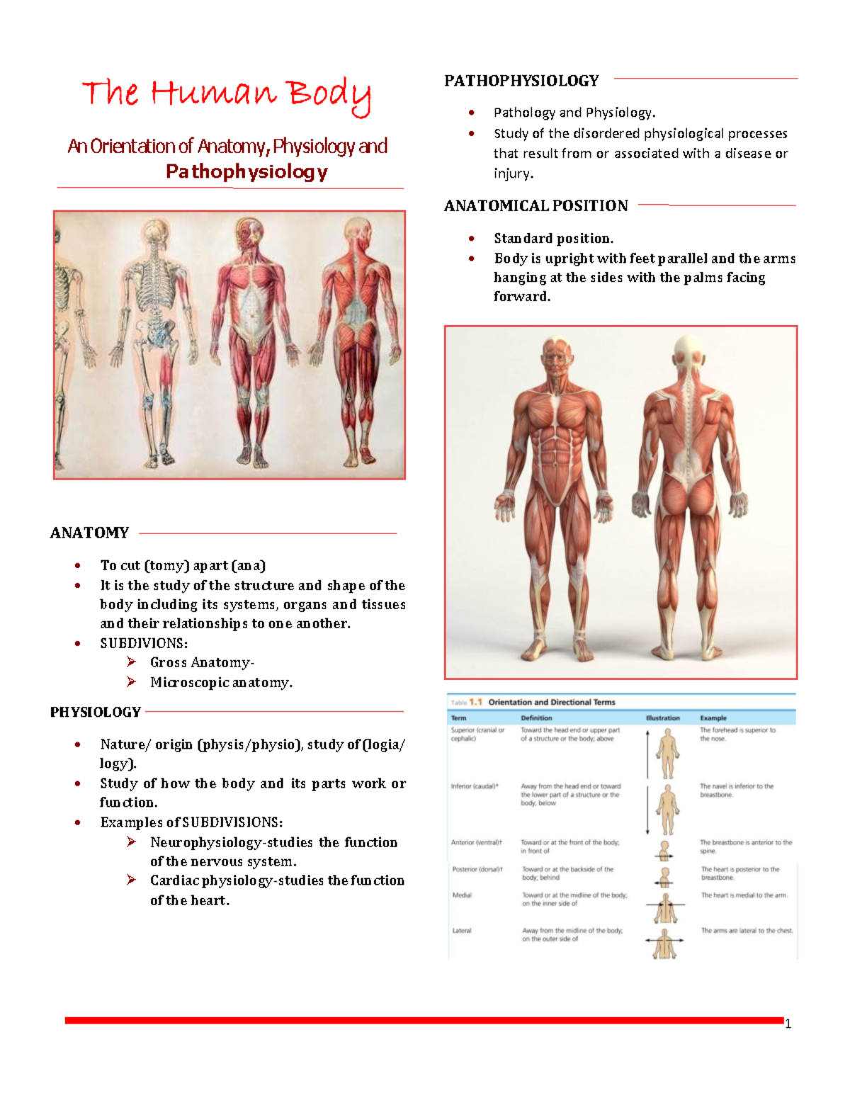 Anaphy Transes - An Orientation of Anatomy, Physiology and ...