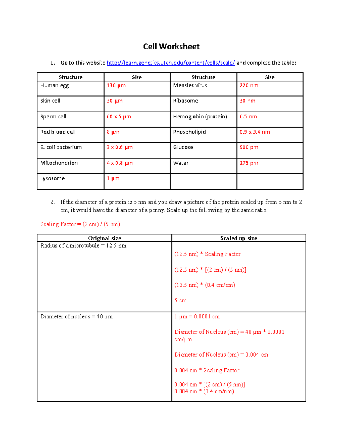 Cells Worksheet 202009 11 - Cell Worksheet Go to this website - Studocu