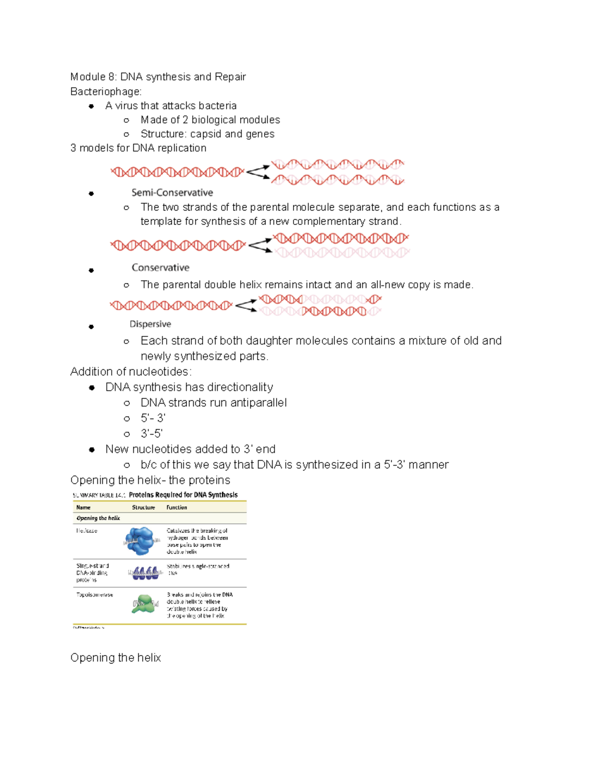 Module 8 - Module 8: DNA synthesis and Repair Bacteriophage: A virus that attacks bacteria Made ...