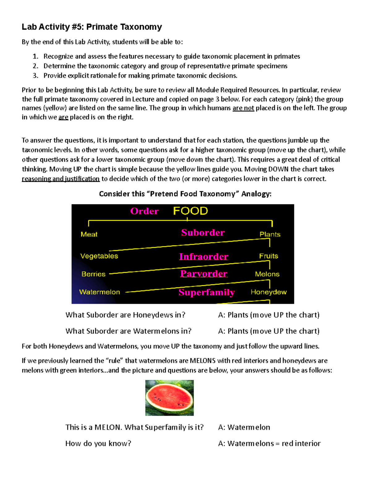 Lab Activity #5 - Primate Taxonomy - Recognize and assess the features ...