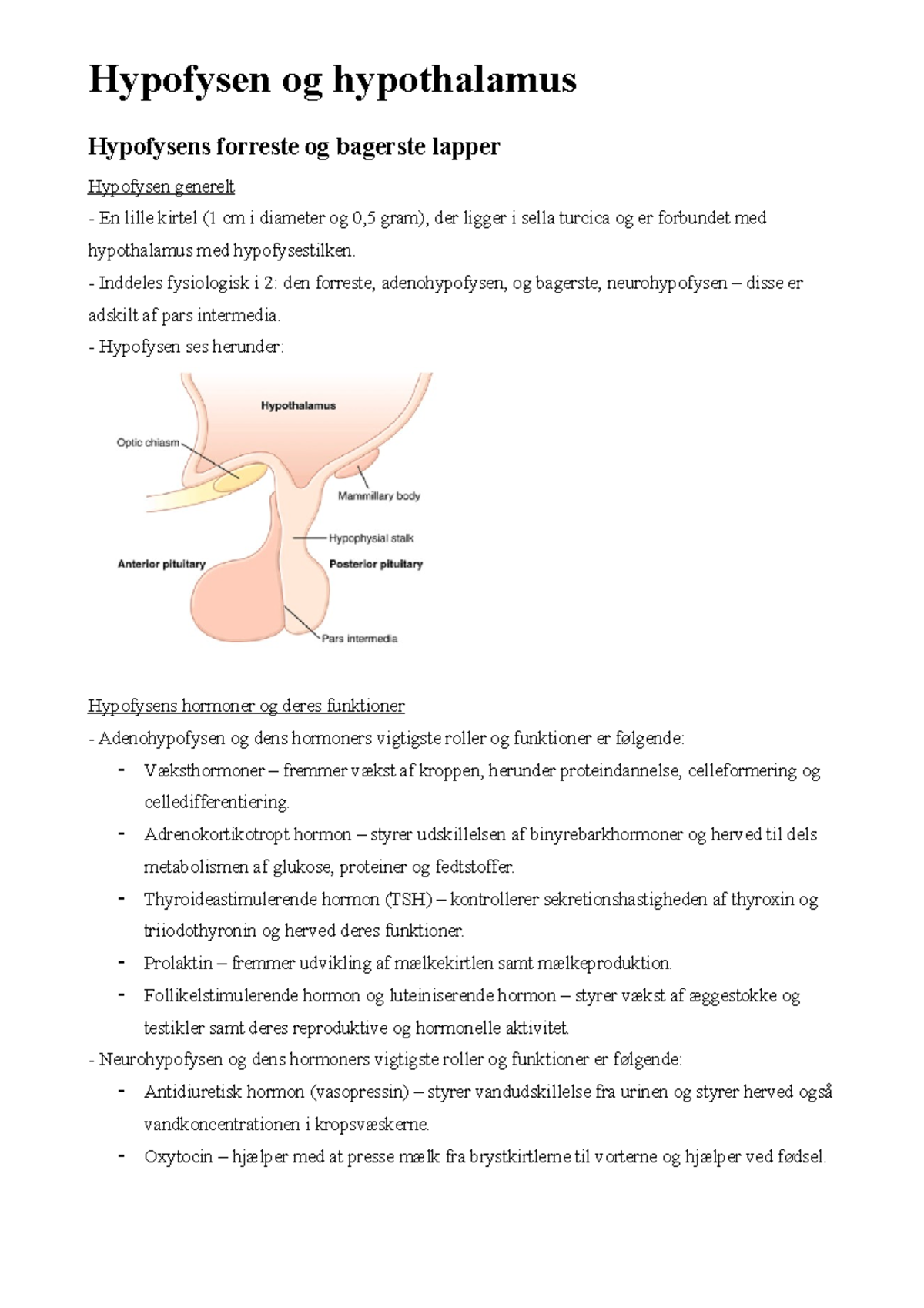 Hypofysen og hypothalamus - Hypofysens forreste og bagerste lapper ...