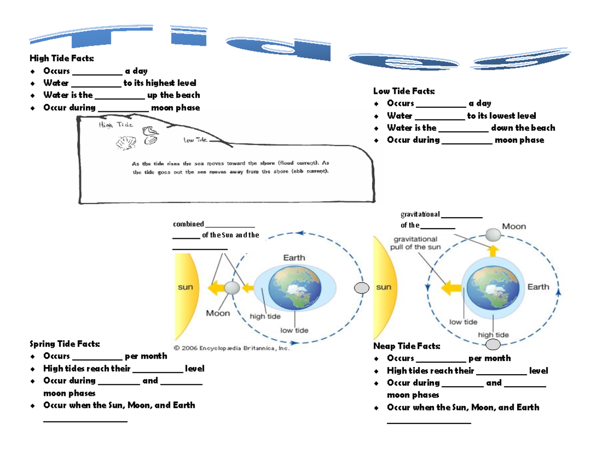 Tides doodle notes - good stuff - Low Tide Facts: Occurs ____________ a ...